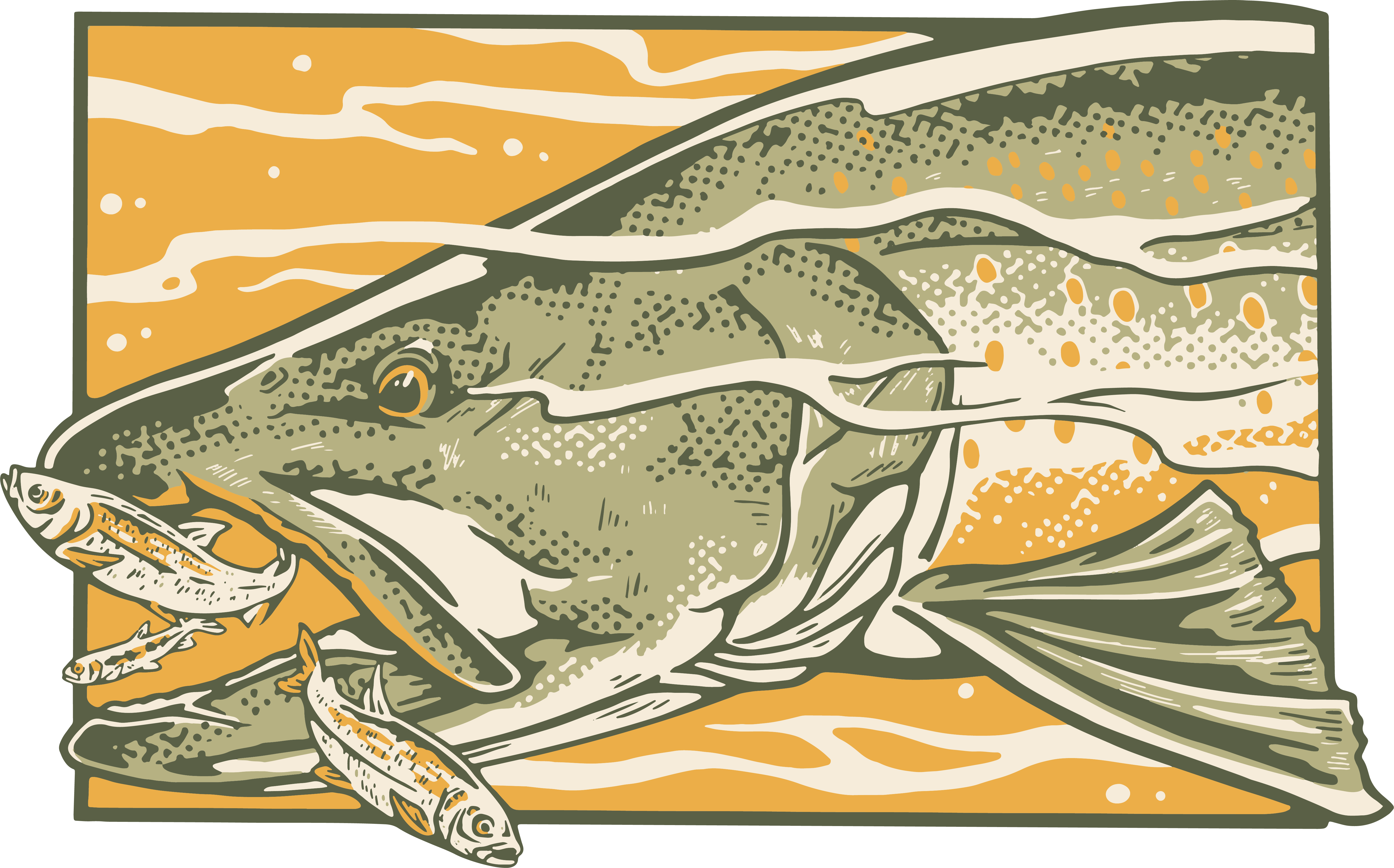 Bull Trout Sticker – Wild Minnow Apparel